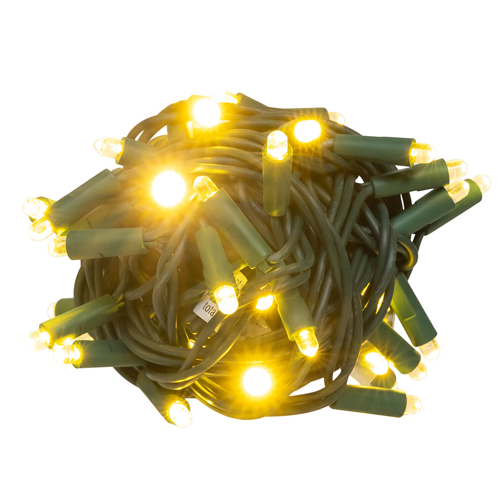 Warm White Convex LED Green Wire Light Set of 50 – William Glen